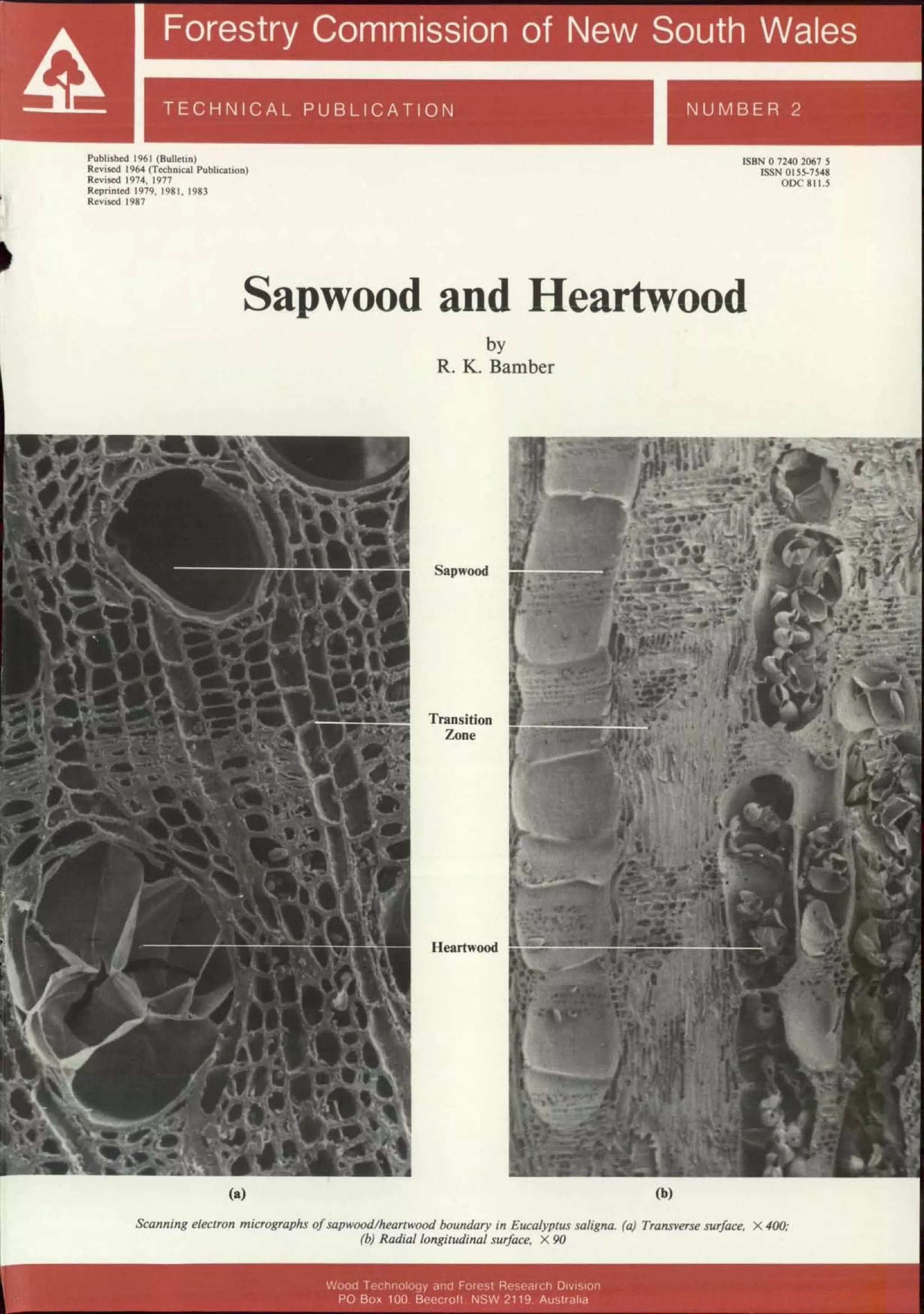 Sapwood-and-Heartwood1.pdf