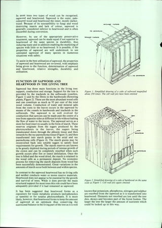 Sapwood-and-Heartwood1.pdf