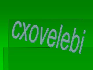 საქართველოს წითელი წიგნი | PPSX