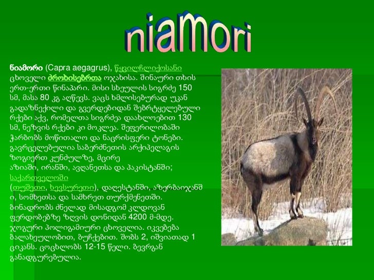 საქართველოს წითელი წიგნი