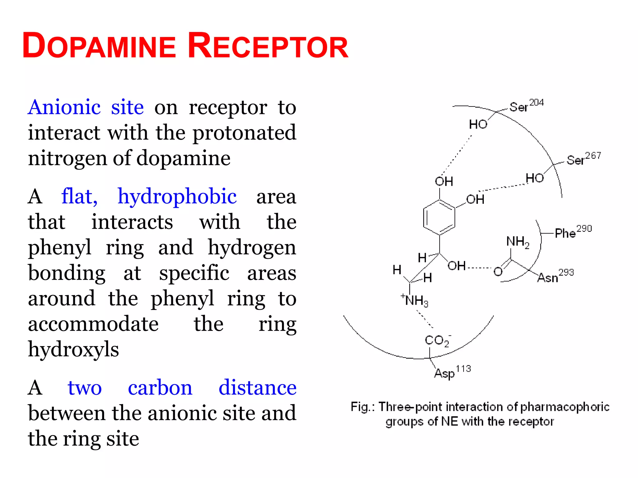 Structure Activity Relationships - Antipsychotics | PPTX