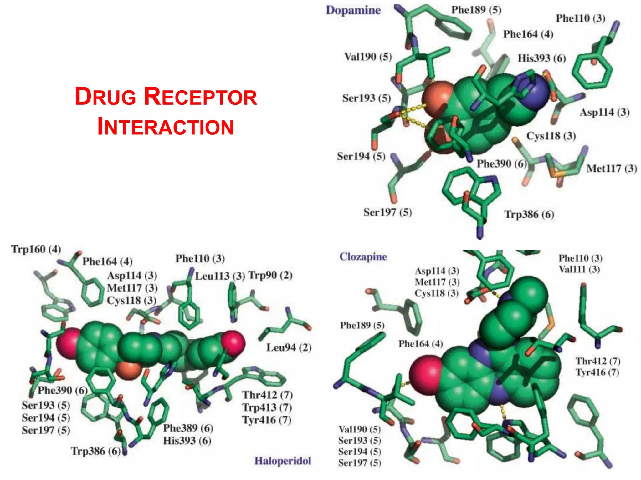 Structure Activity Relationships - Antipsychotics | PPTX