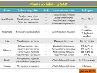 SAR | PPTX