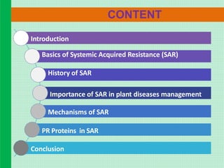 SAR | PPT