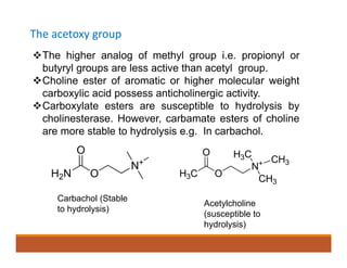 SAR-Cholinergic-drugs.pdf