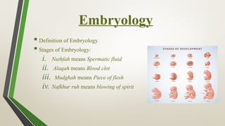 SARA ASHIQ (ROLL NO.04).pptx file----------------- | PPTX