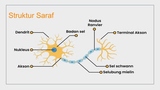saraf.pptx