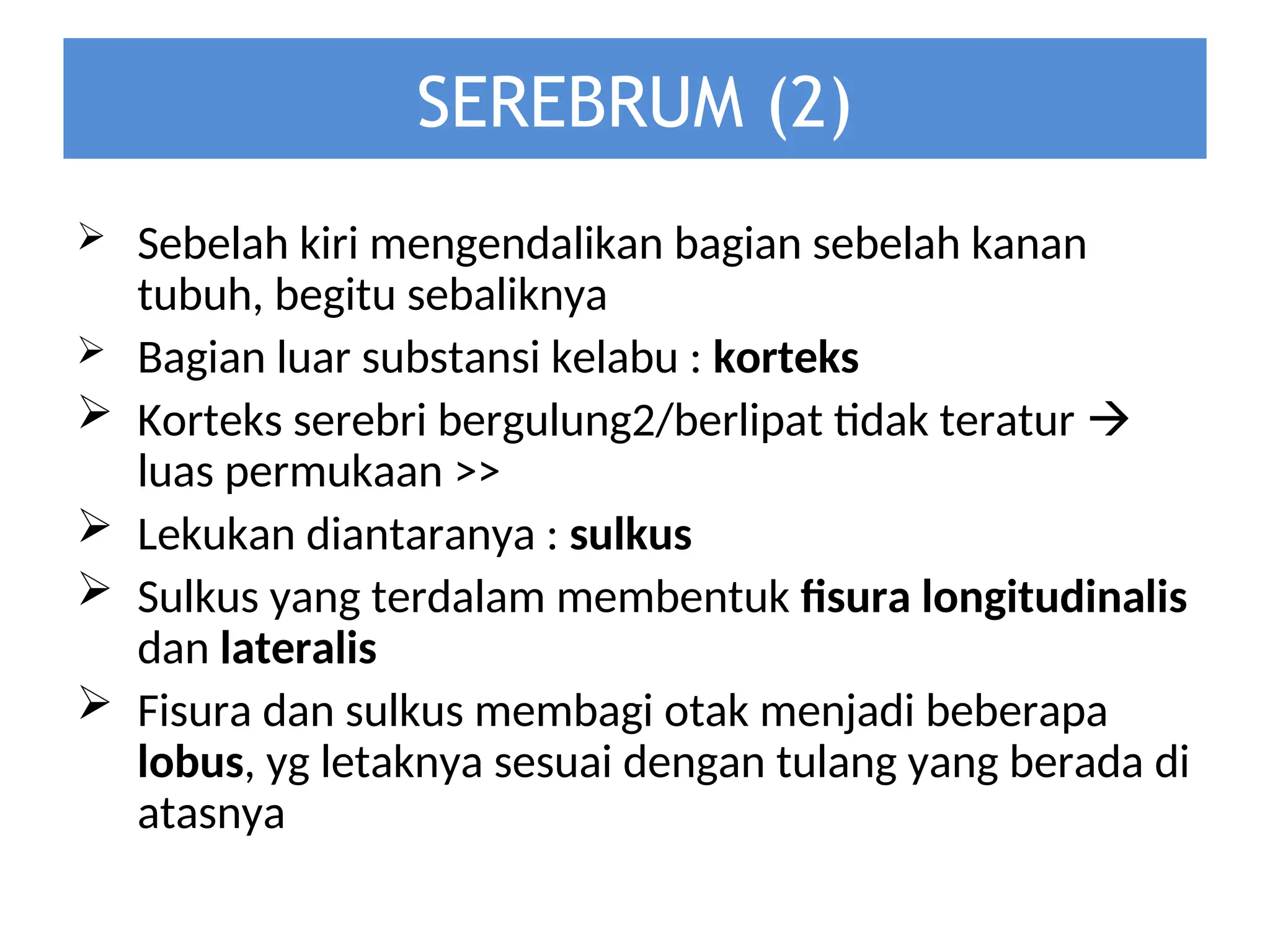 sistem saraf manusia anatomi,fisiologi.ppt