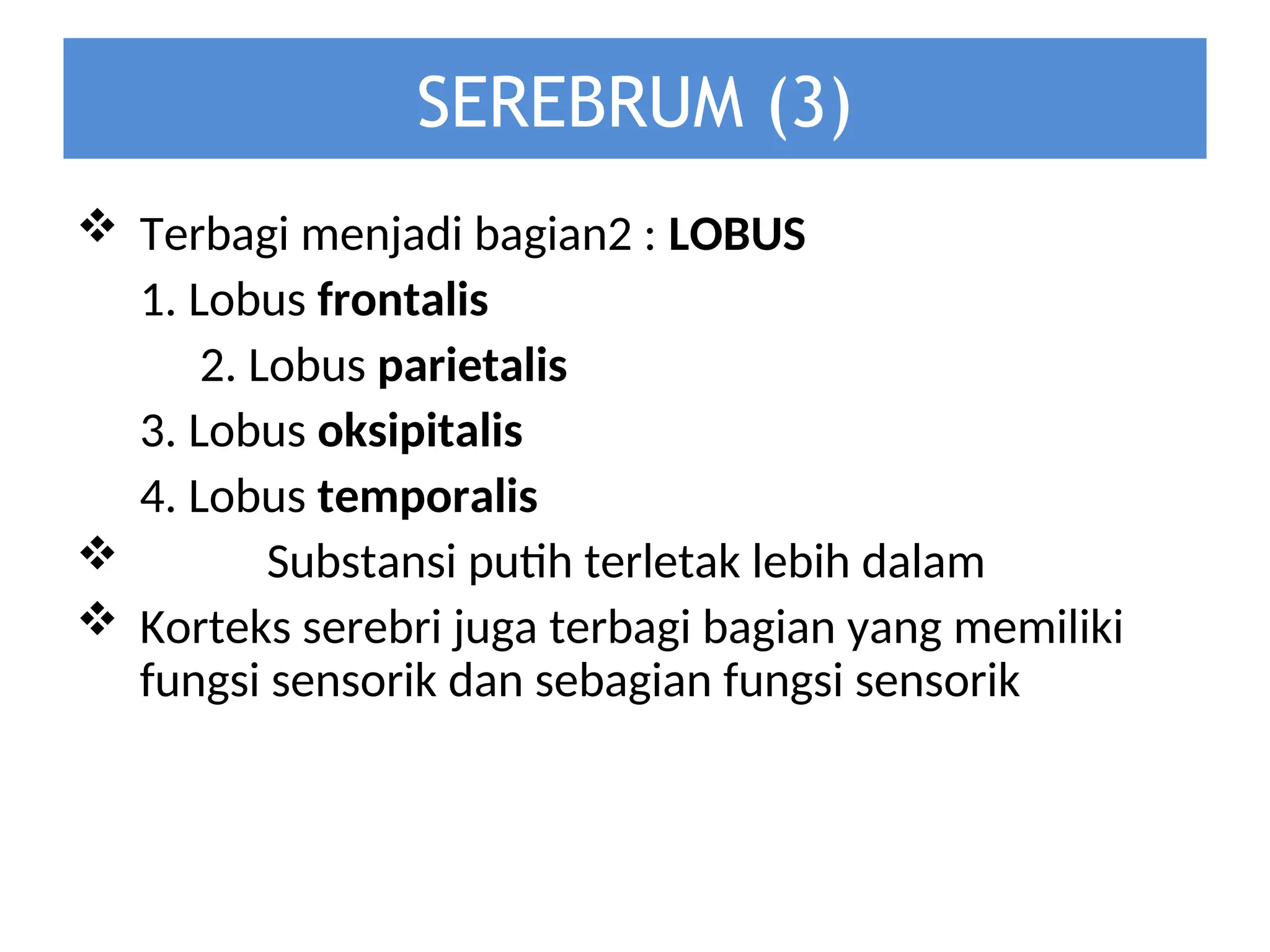 sistem saraf manusia anatomi,fisiologi.ppt