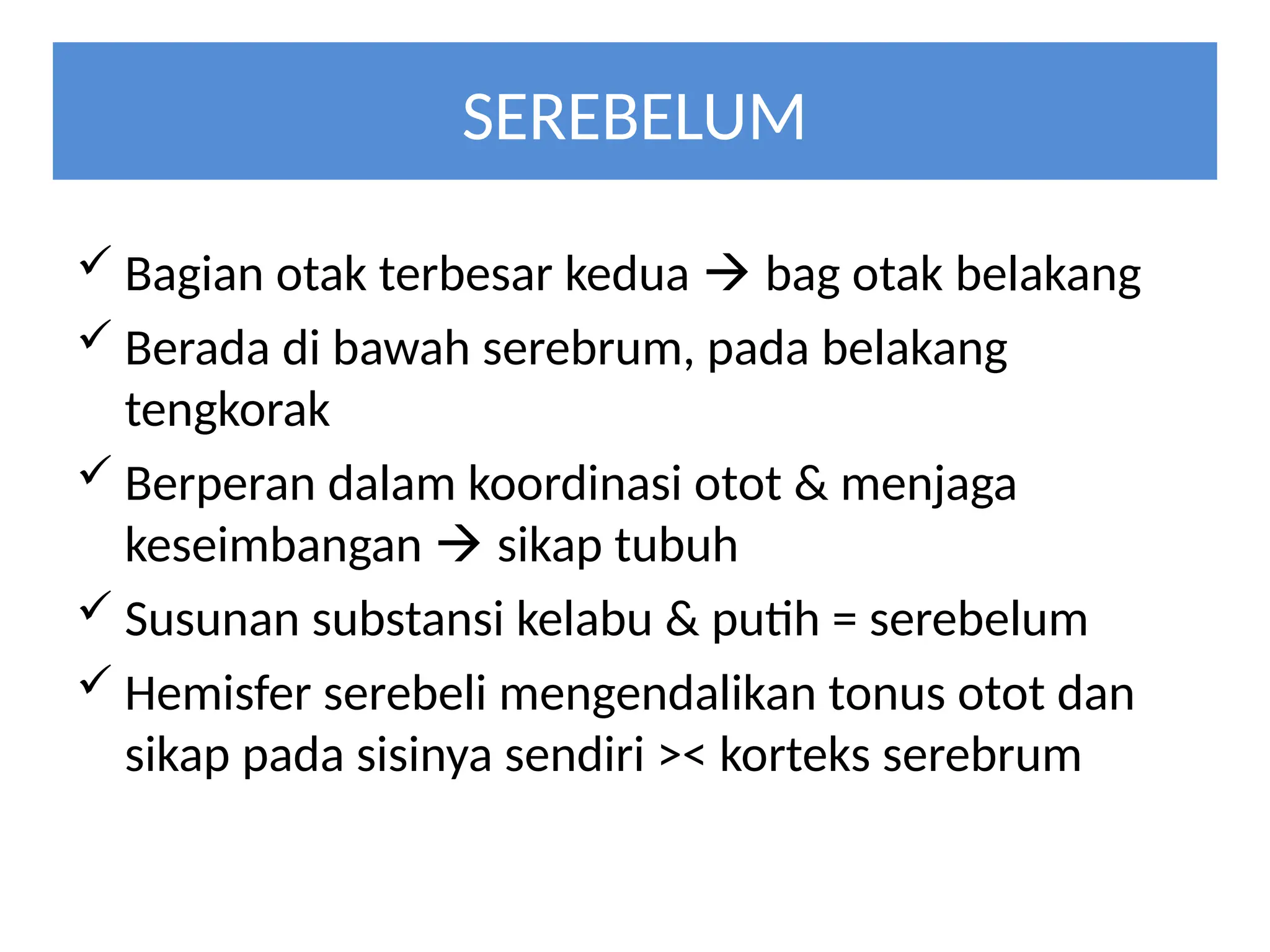 sistem saraf manusia anatomi,fisiologi.ppt
