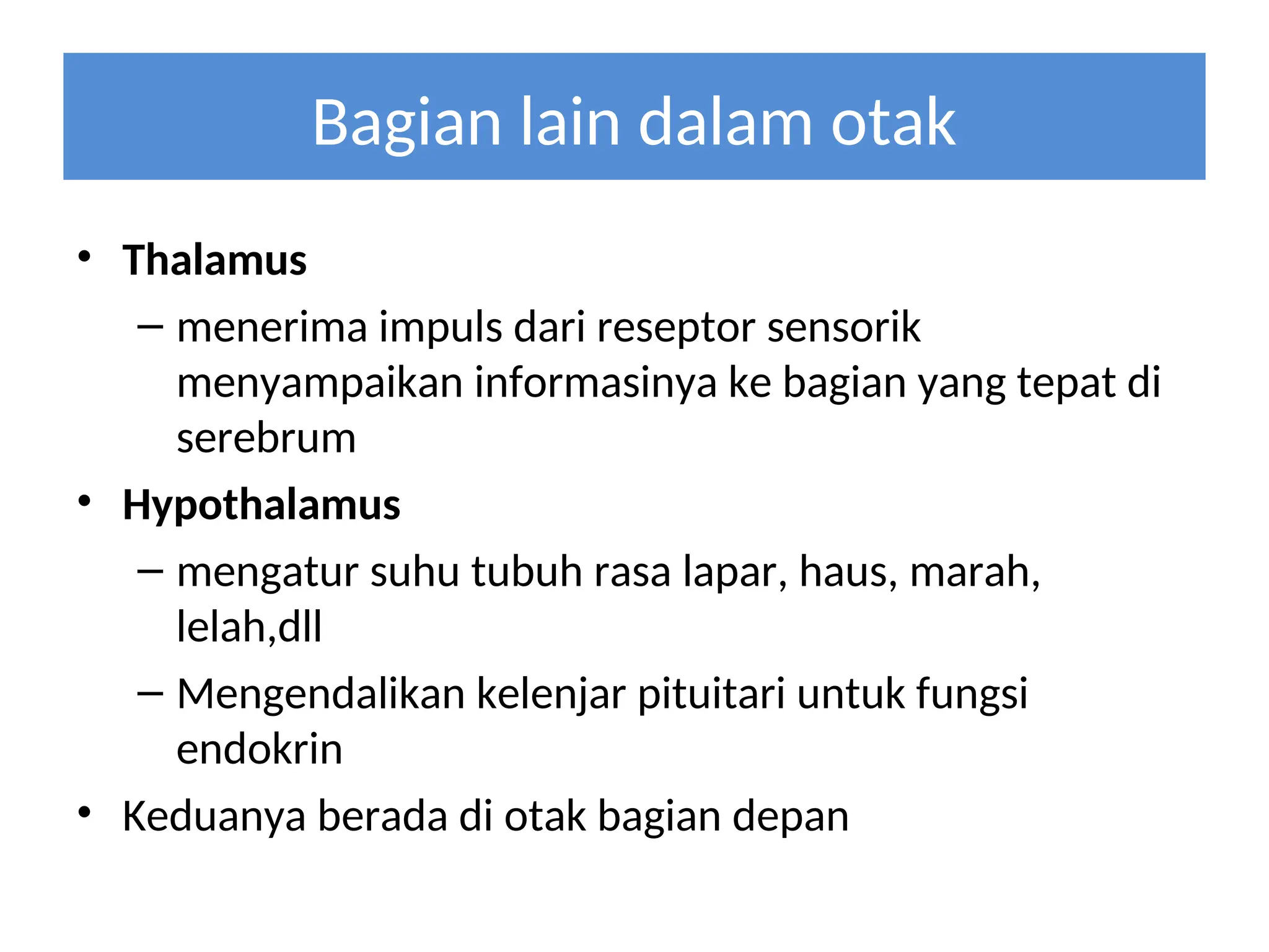 sistem saraf manusia anatomi,fisiologi.ppt