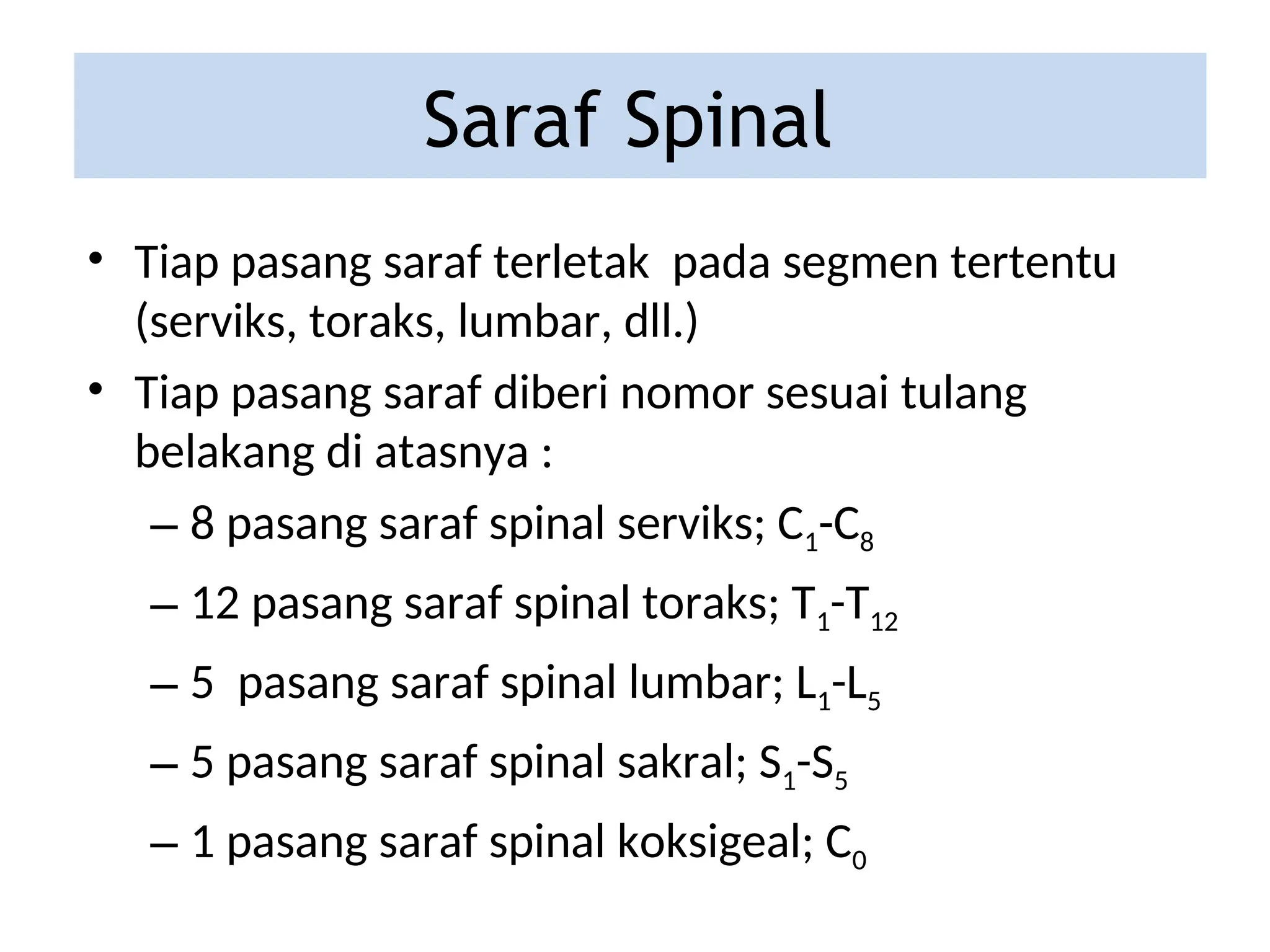 sistem saraf manusia anatomi,fisiologi.ppt