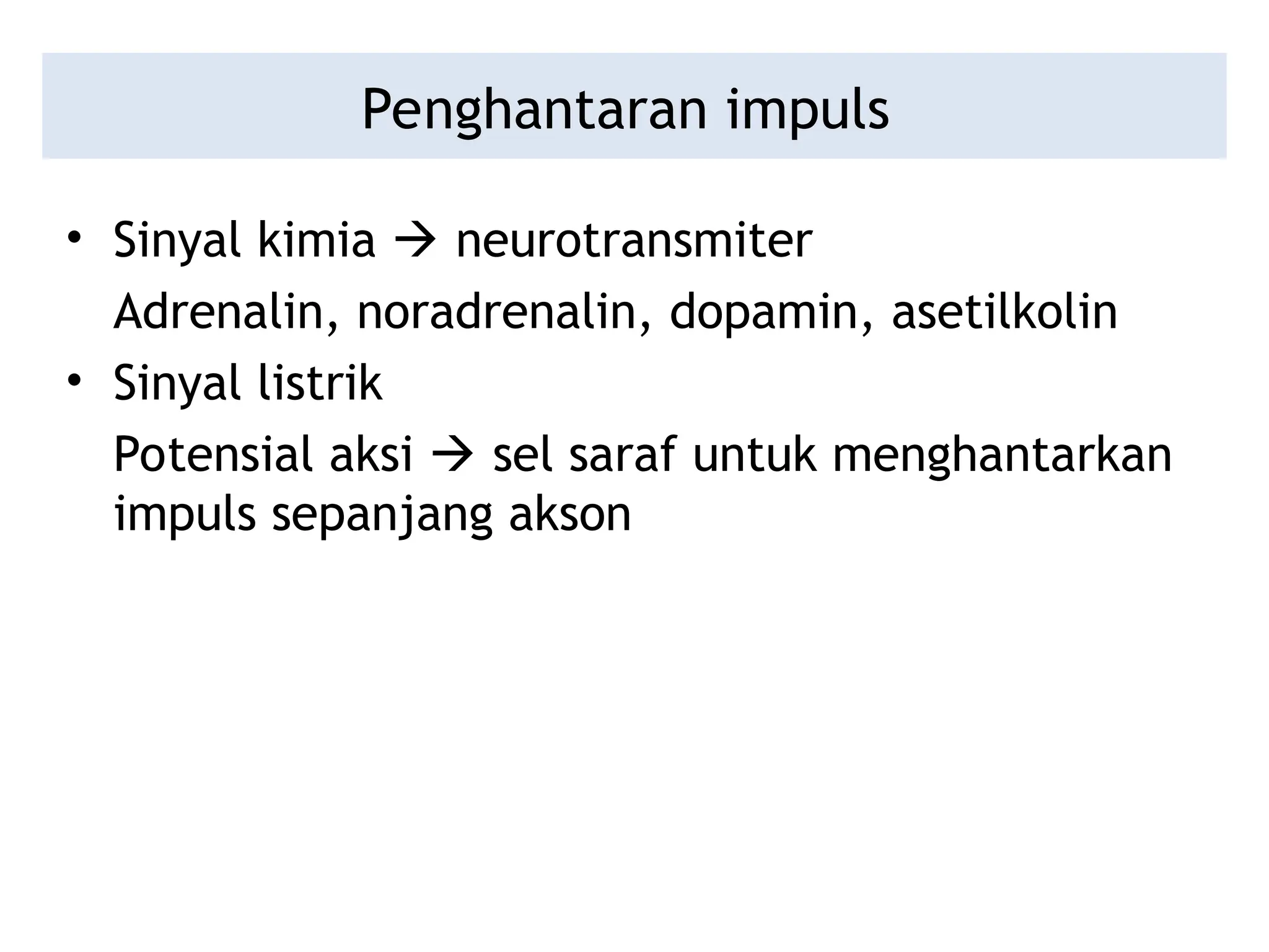 sistem saraf manusia anatomi,fisiologi.ppt