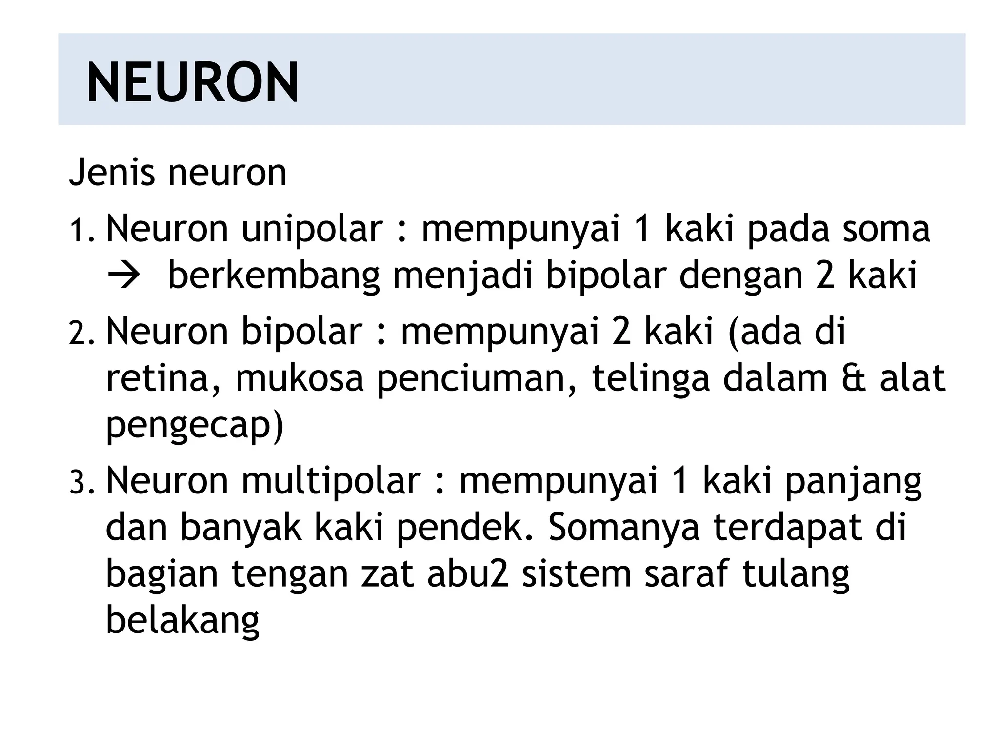 sistem saraf manusia anatomi,fisiologi.ppt