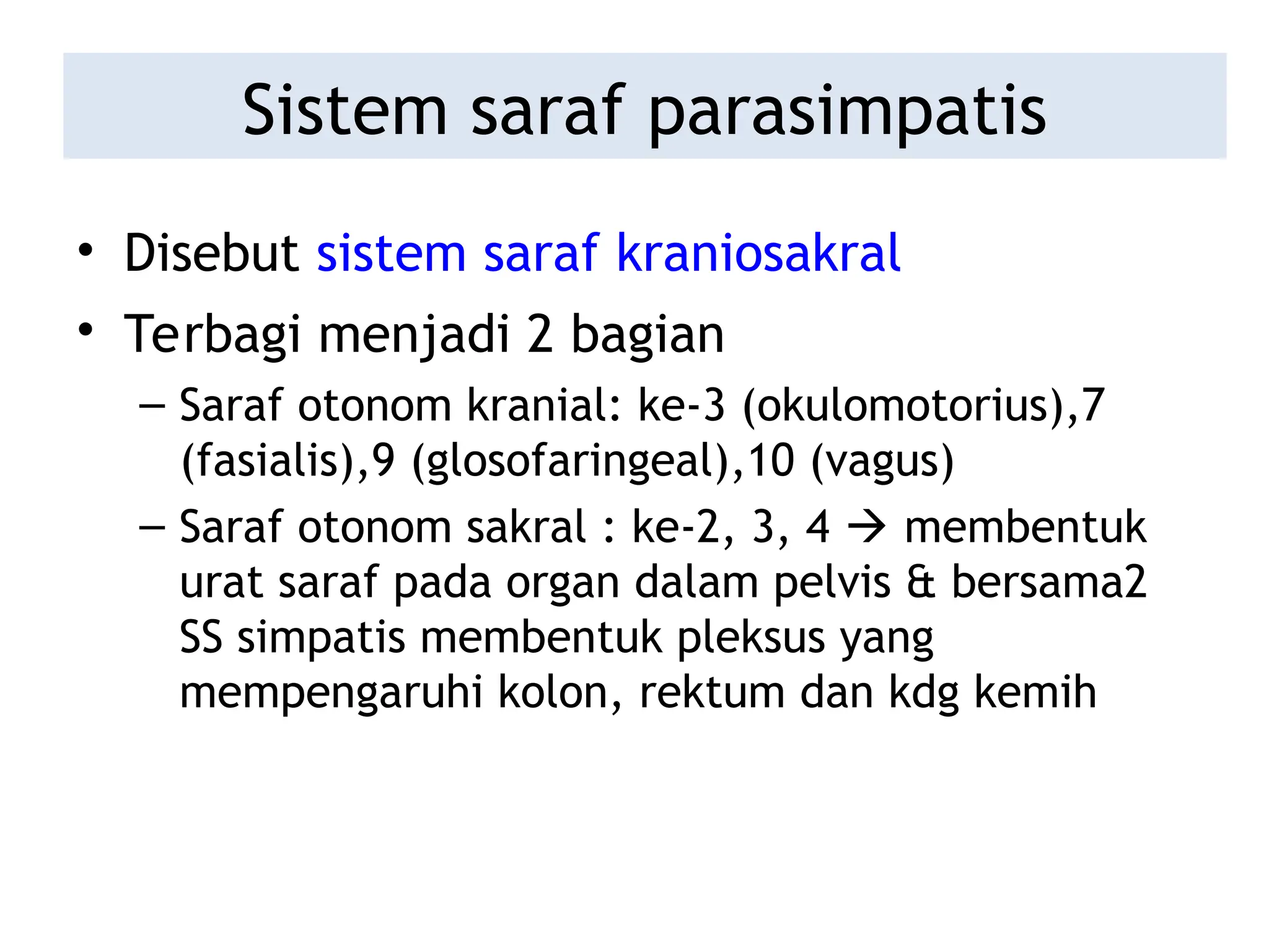 sistem saraf manusia anatomi,fisiologi.ppt