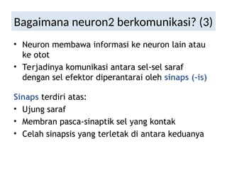 sistem saraf manusia anatomi,fisiologi.ppt