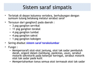 sistem saraf manusia anatomi,fisiologi.ppt