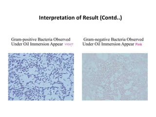 SARA_GRAM_STAIN_PPT........................... | PPT