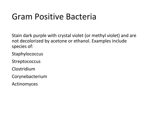 SARA_GRAM_STAIN_PPT........................... | PPT
