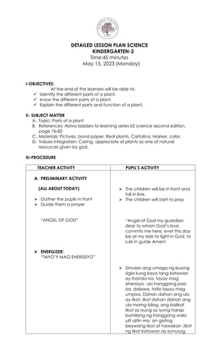 detailed LESSON-PLAN for elementary practice teachers | DOCX