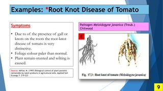Sarah 51 Root knot disease of vegetables.pptx