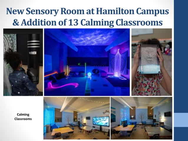 Sarah A. Reed. A Renaissance Woman – Her Spirit Lives on 150 Years ...