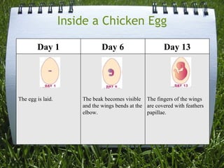 Sarah and lisana | PPT