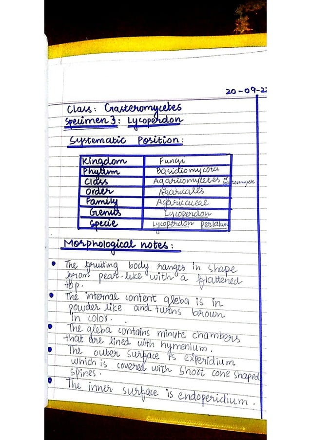 Sarah Ashfaq 51 higher fungi lab practicals.pdf
