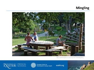 Movement, Meaning and Mingling in Natural Environments. | PDF