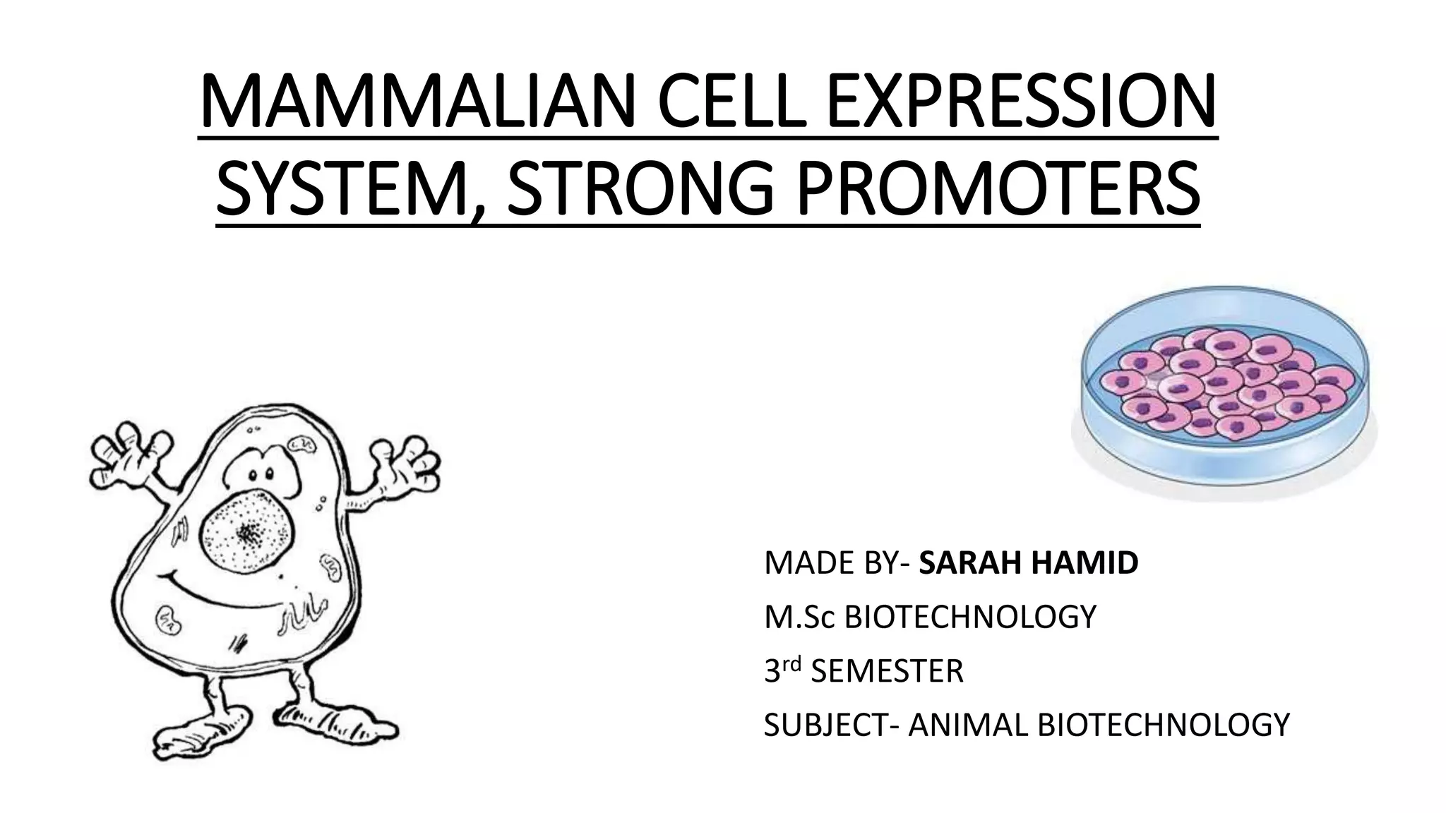 MAMMALIAN CELL EXPRESSION SYSTEM, STRONG PROMOTERS.pptx