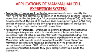 MAMMALIAN CELL EXPRESSION SYSTEM, STRONG PROMOTERS.pptx