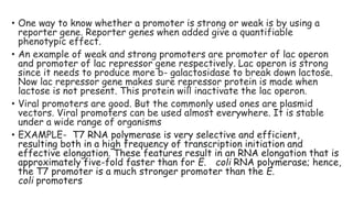 MAMMALIAN CELL EXPRESSION SYSTEM, STRONG PROMOTERS.pptx