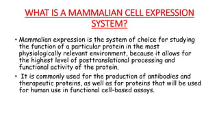 MAMMALIAN CELL EXPRESSION SYSTEM, STRONG PROMOTERS.pptx