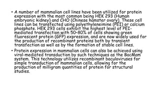 MAMMALIAN CELL EXPRESSION SYSTEM, STRONG PROMOTERS.pptx
