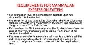 MAMMALIAN CELL EXPRESSION SYSTEM, STRONG PROMOTERS.pptx