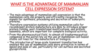 MAMMALIAN CELL EXPRESSION SYSTEM, STRONG PROMOTERS.pptx