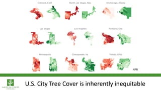 Achieving Tree Equity in United States Urban Forests | PPTX
