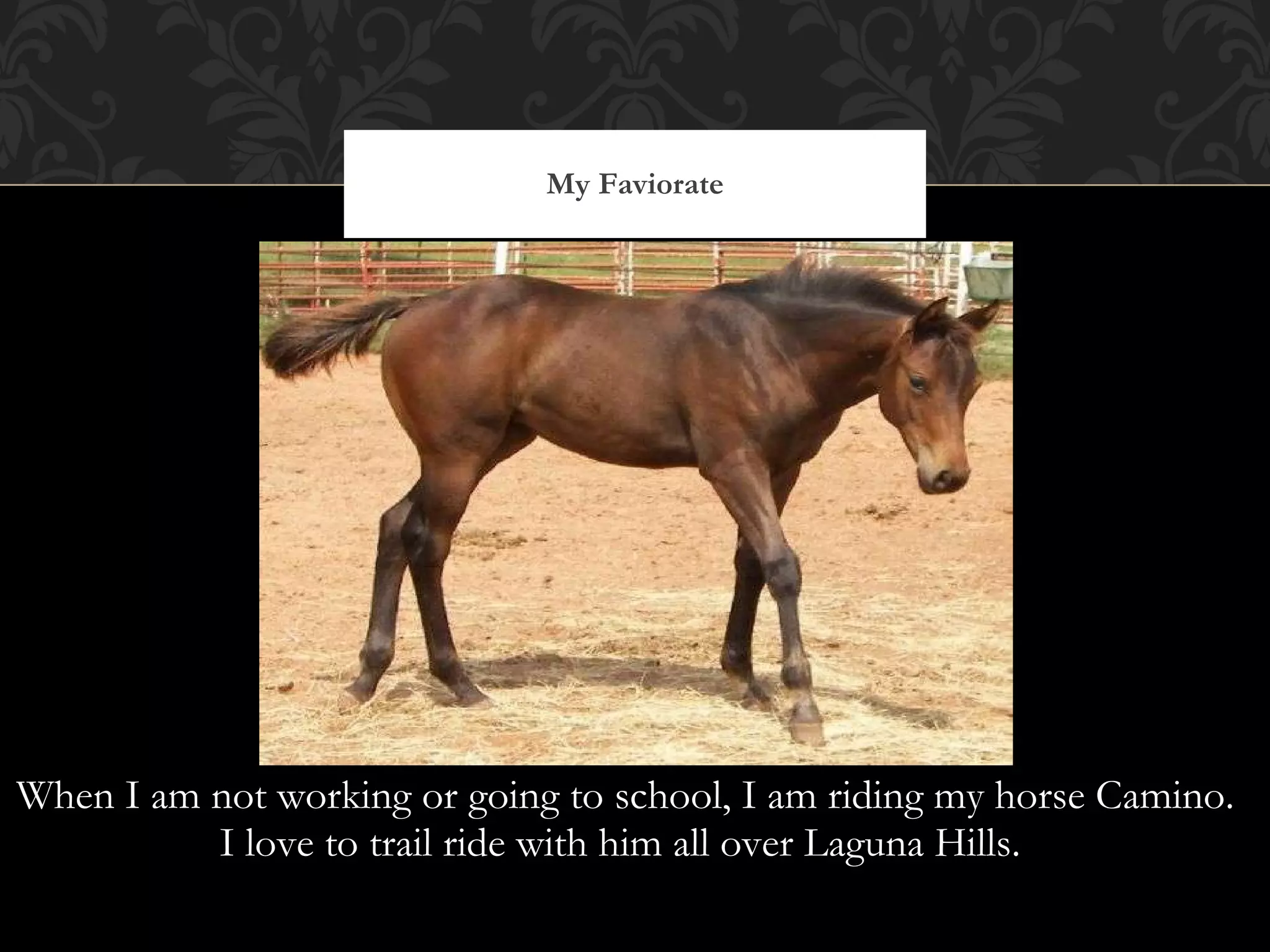 Sarah meek's personal history | PPT