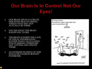 Sarah Riley Brain Research Powerpoint | PPTX