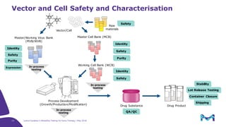 Latest Updates in Biosafety Testing for Gene Therapy | PDF