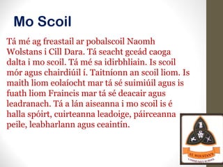 Irish Presentation | PPT