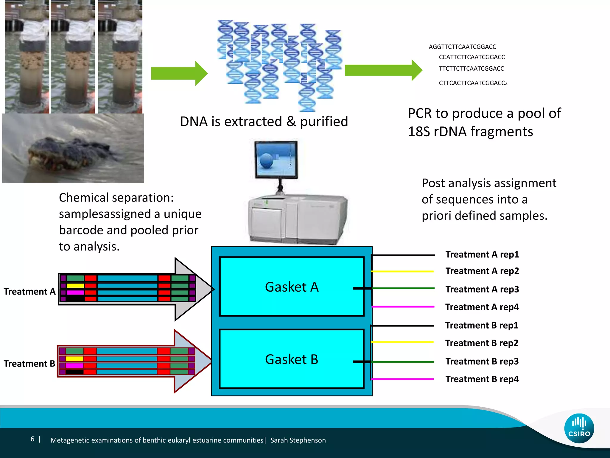Sarah stephenson csiro | PPTX