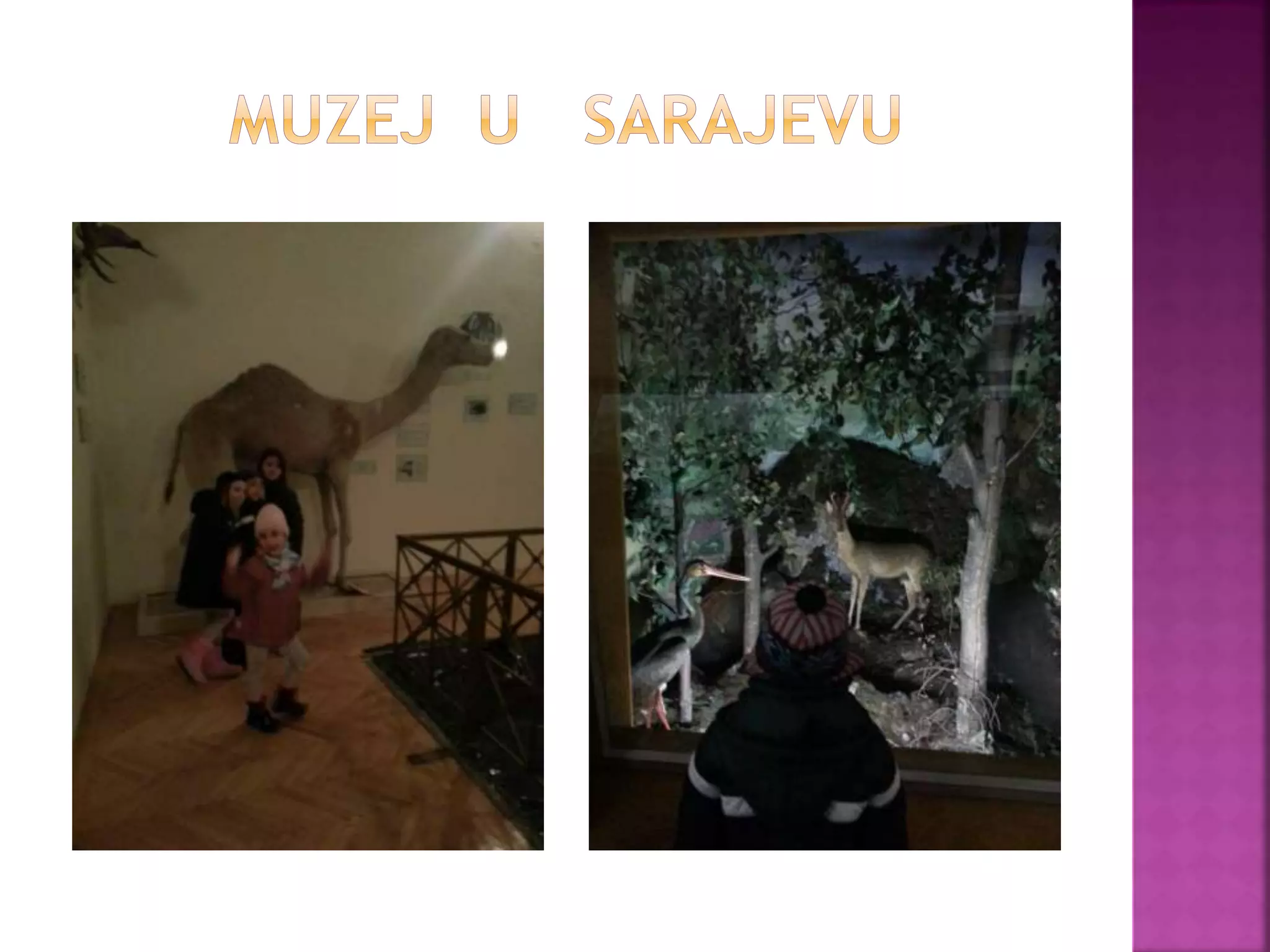 Sarajevo | PPTX