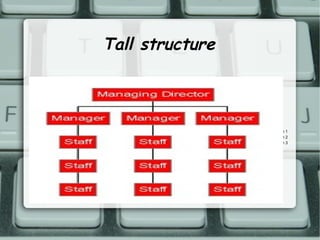 life cycle of the Organization | PPT
