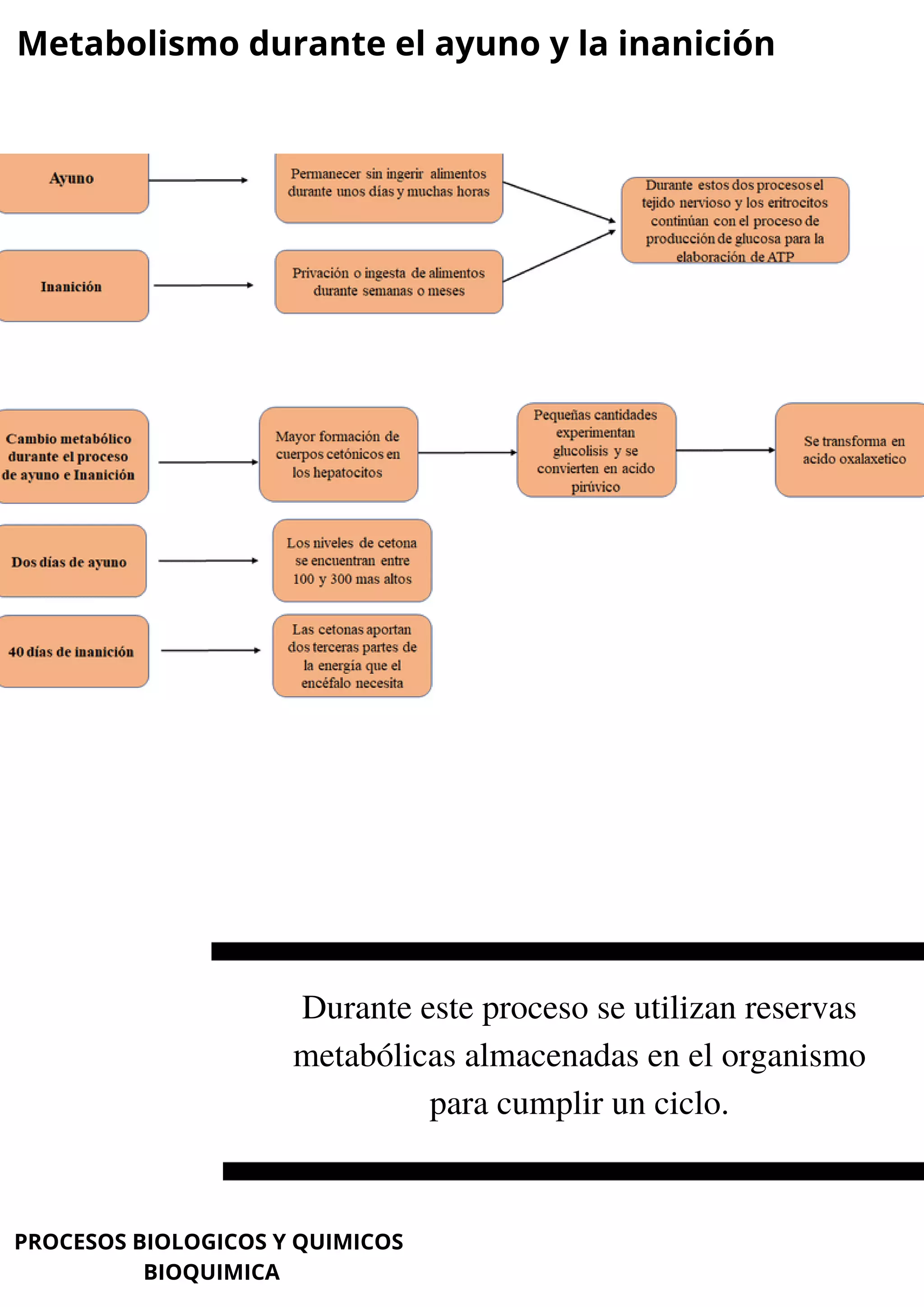 PROCESOS BIOLOGICOS | PDF
