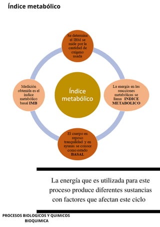 PROCESOS BIOLOGICOS | PDF