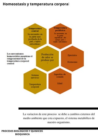 PROCESOS BIOLOGICOS | PDF