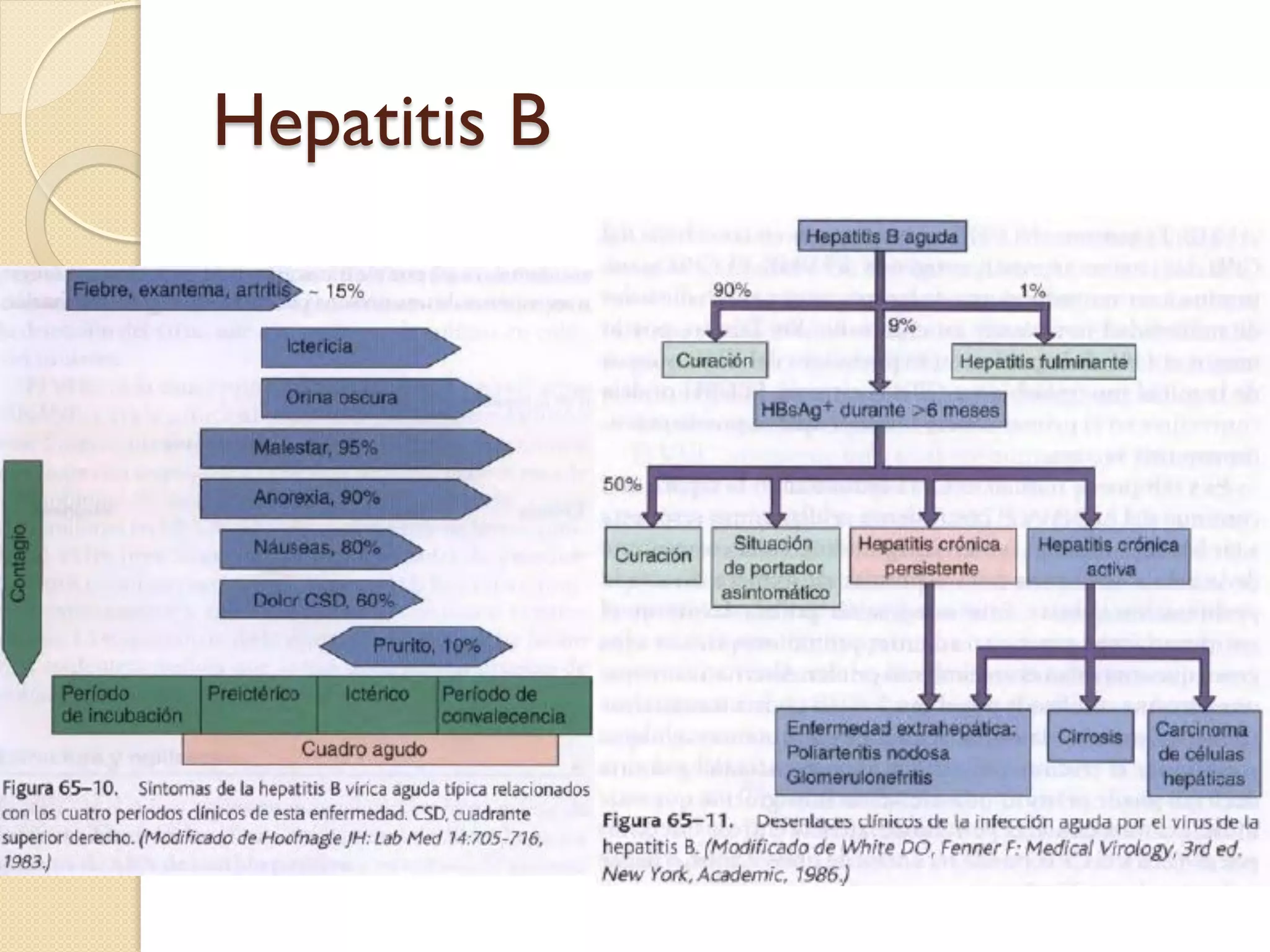 Sarampión, parotiditis, rubéola, hepatitis y vih | PDF