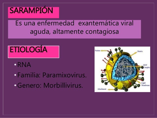 Presentacion de la enfermedad del Sarampion