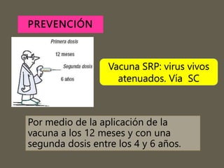 SARAMPION SANDRA SALINAS.pptxaaaaaaaaaaa | PPTX